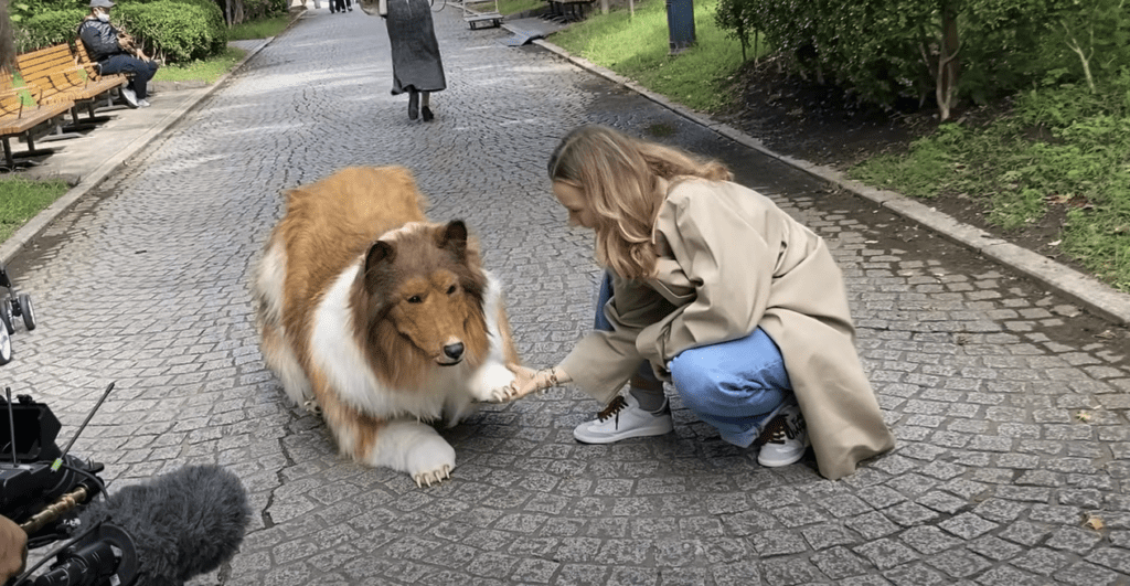 Cameron Norris, Author at The Quick Report