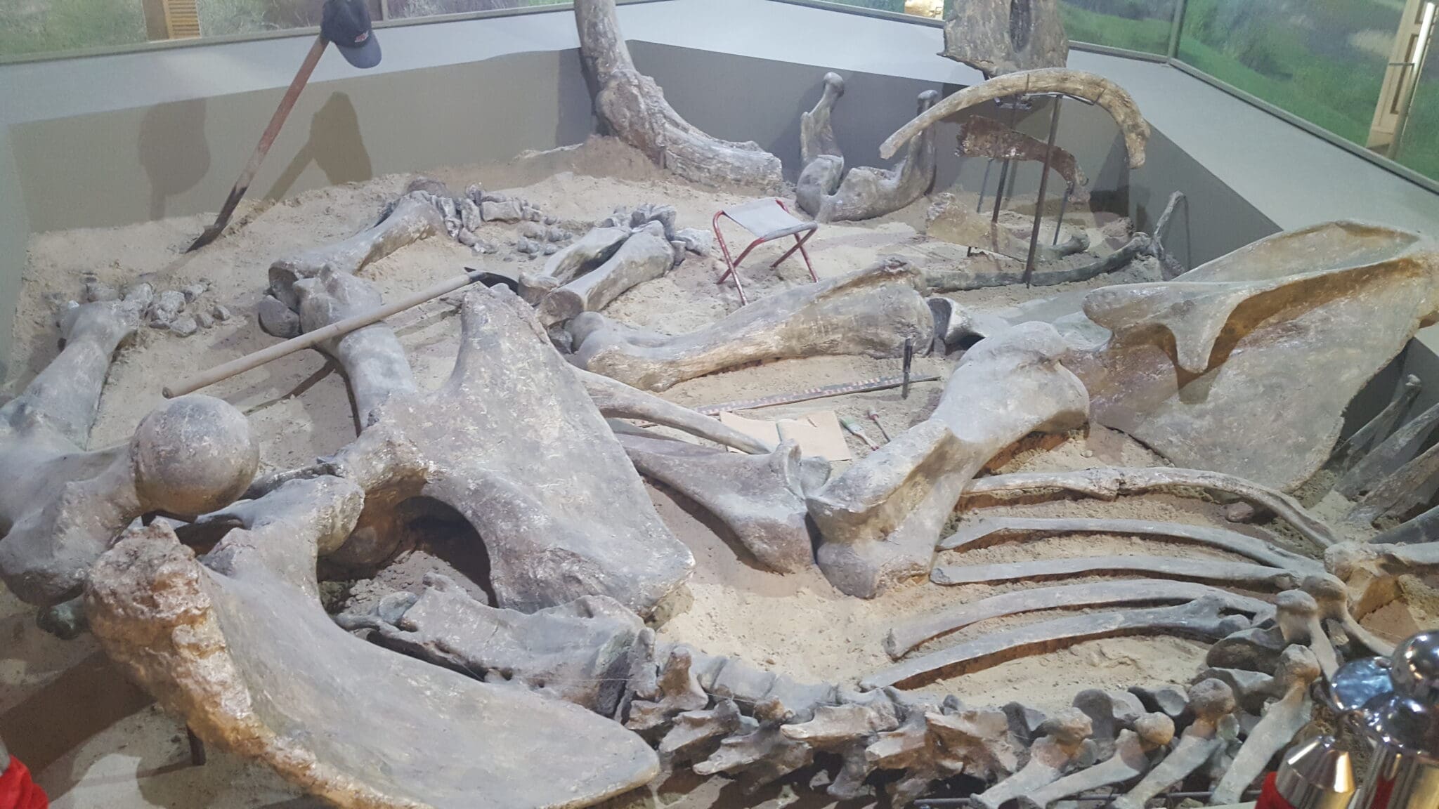 The Must-See Museum in Every Single State - The Quick Report