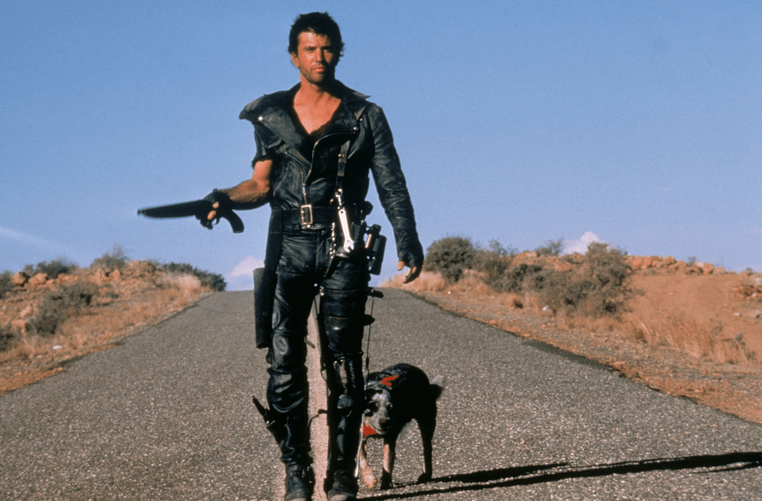 The 15 Best Cult Films of the 1980s - The Quick Report