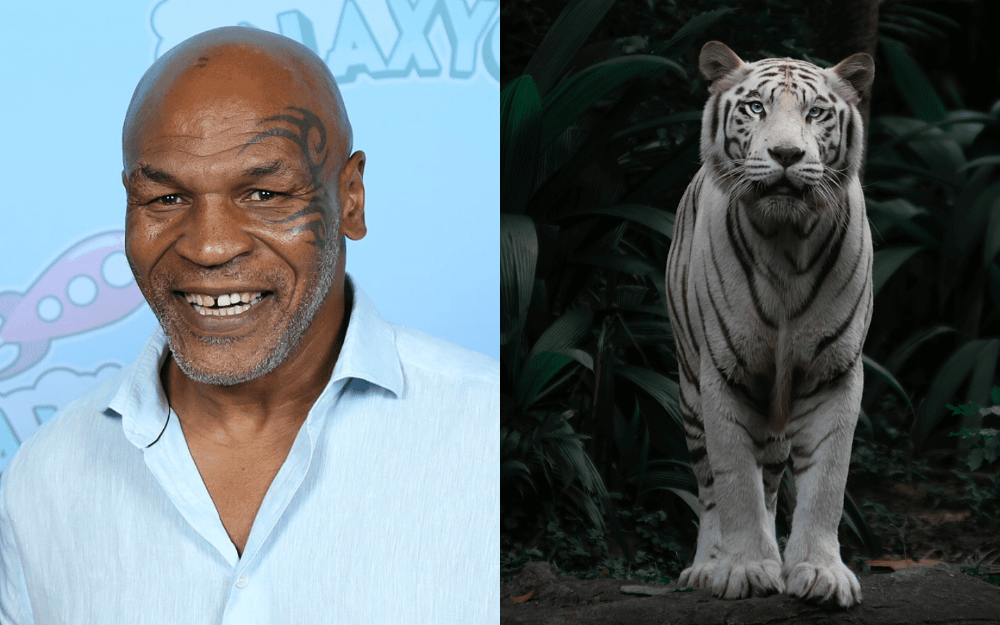 15 Insane Purchases Pro Athletes Splurged Their Fortunes On - The Quick ...