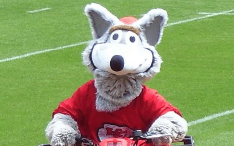 Top-Tier Talent: The Best Sports Mascots Around - The Quick Report