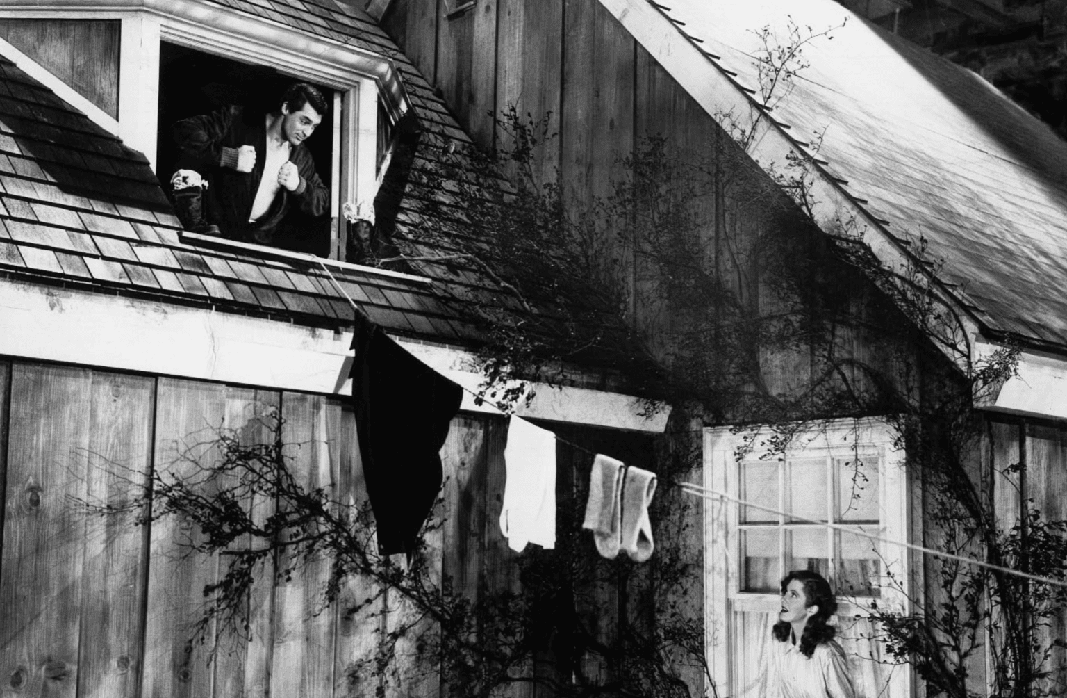 The Top 10 Cary Grant Films - The Quick Report