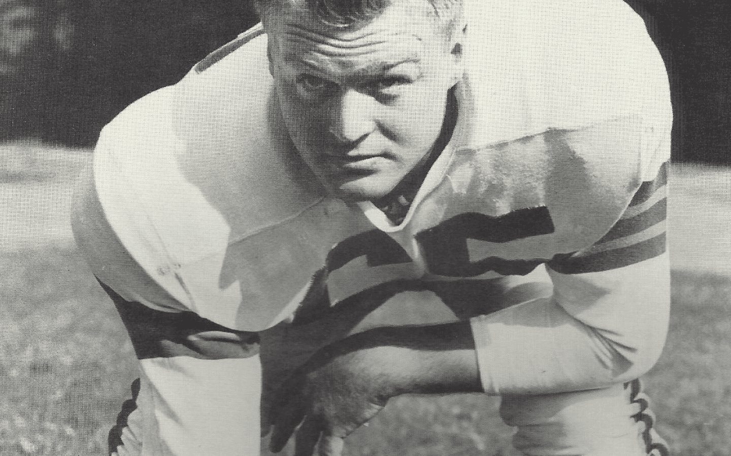 Ranking the 20 Most Interesting NFL Fan Traditions - The Quick Report