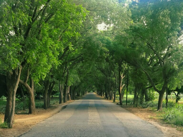 Top 10 Benefits of Living in a Small Town - The Quick Report
