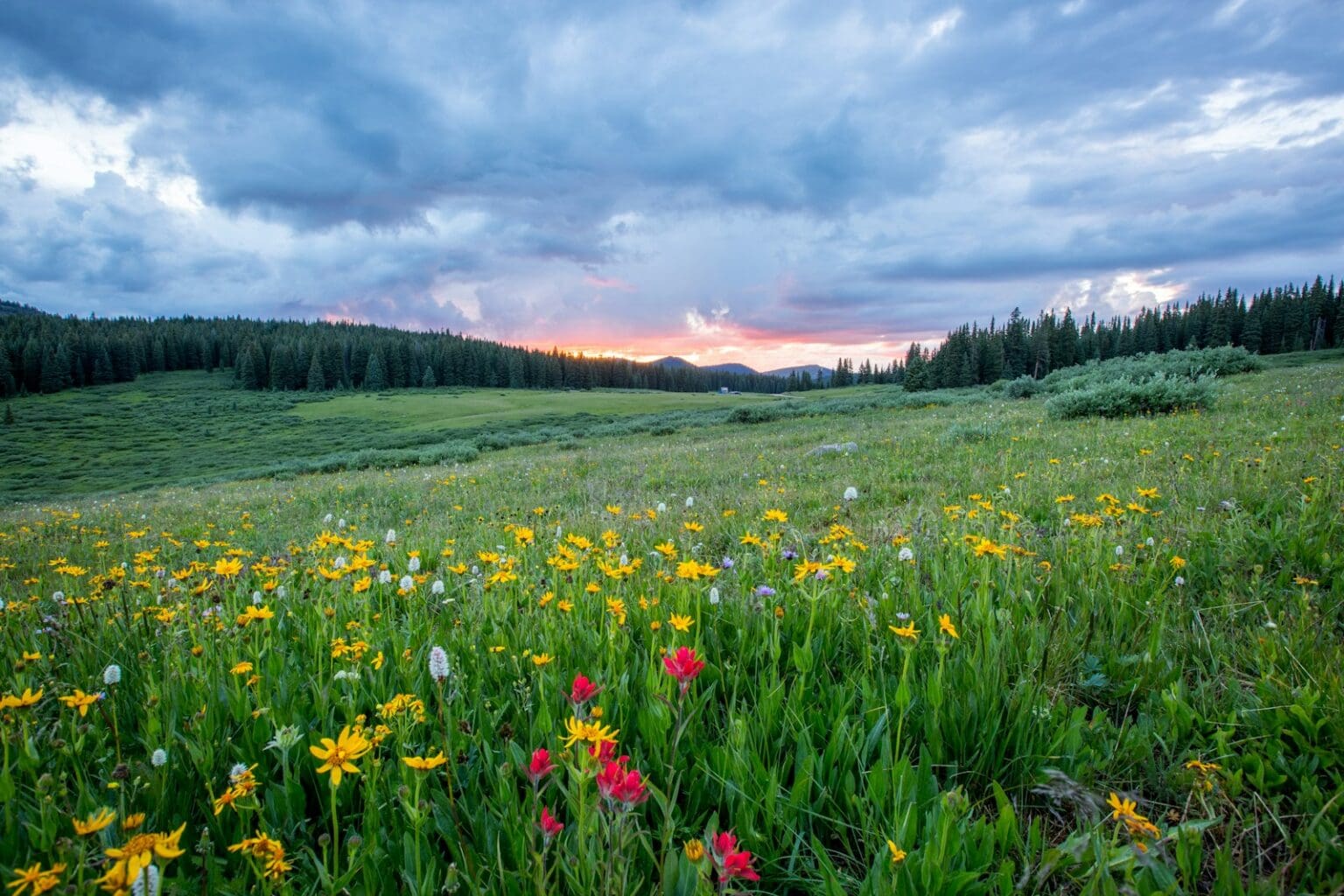 Top 10 Benefits of Living in a Small Town - The Quick Report