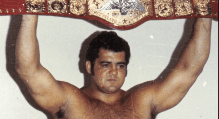 The 20 Best WWE Wrestlers of the 1980s - The Quick Report
