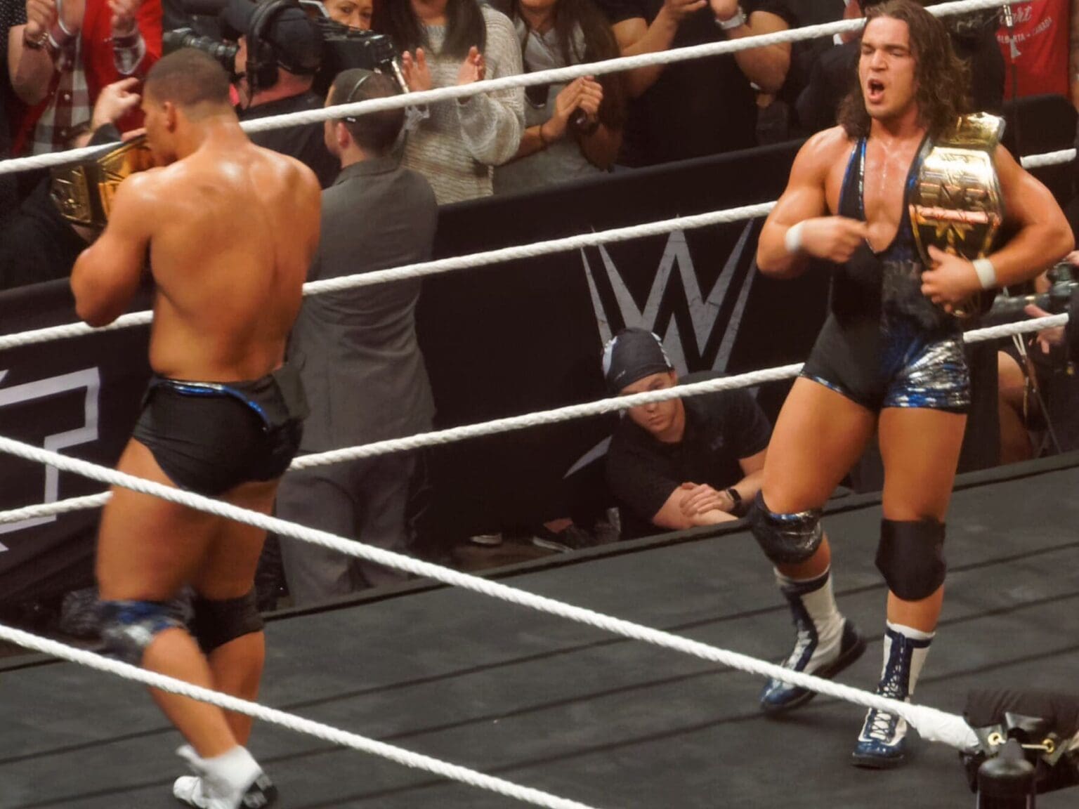 The 30 Greatest Tag Teams in WWE and Wrestling History - The Quick Report