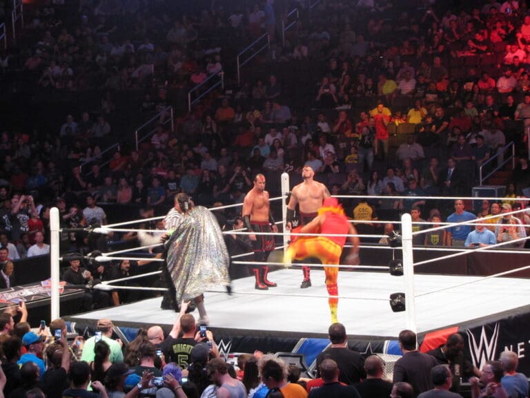 The 30 Greatest Tag Teams in WWE and Wrestling History - The Quick Report