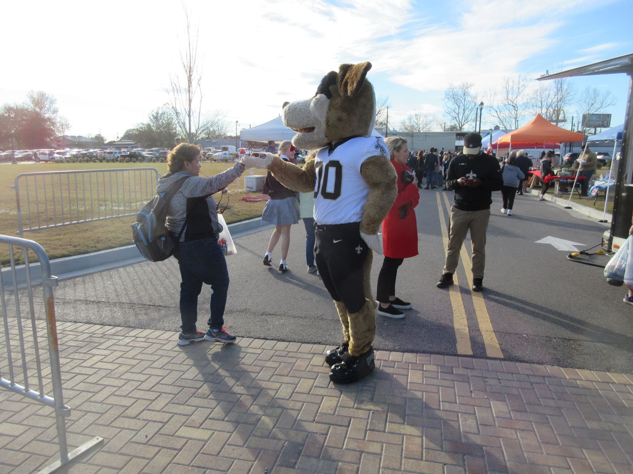 Ranking the Top 20 Best NFL Mascots - The Quick Report