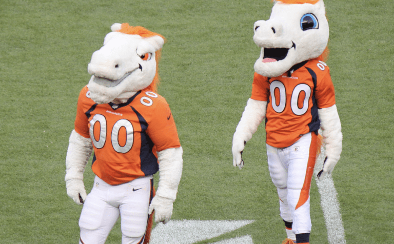 Ranking the Top 20 Best NFL Mascots - The Quick Report