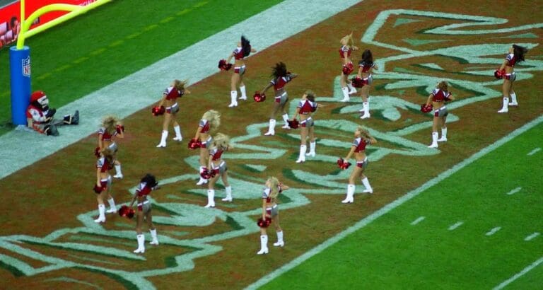 Ranking the Top 20 Best NFL Mascots - The Quick Report