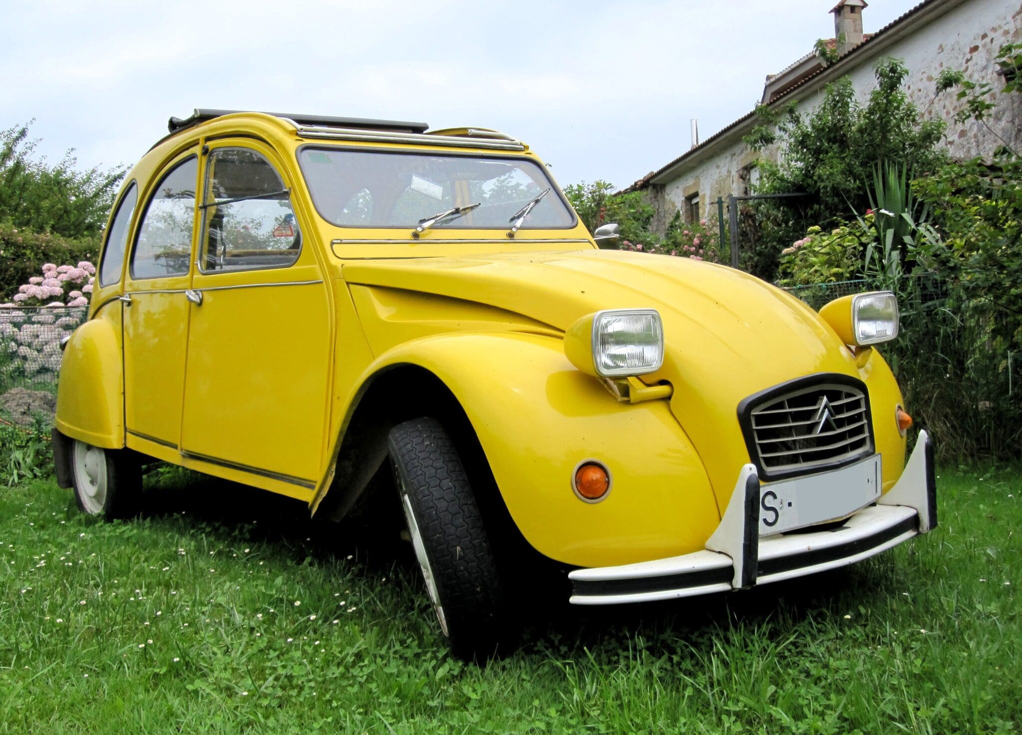 Weird, Ugly Cars That Somehow Became Beloved Cult Classics - The Quick ...