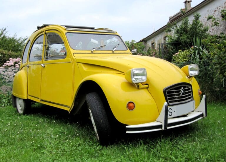 Weird, Ugly Cars That Somehow Became Beloved Cult Classics - The Quick ...