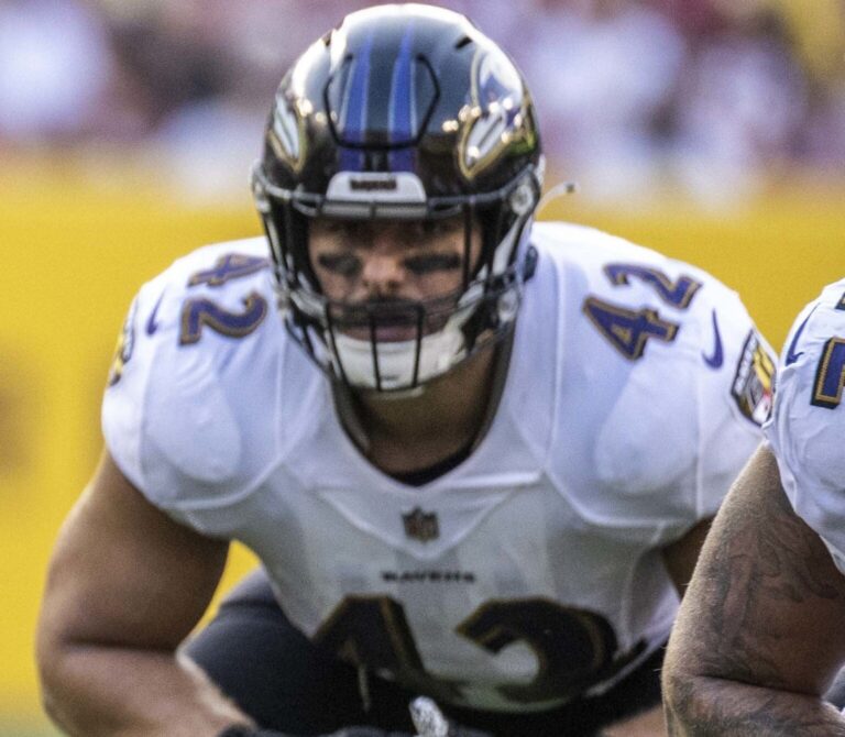 10 NFL Fullbacks Who Prove the Position Still Matters - The Quick Report