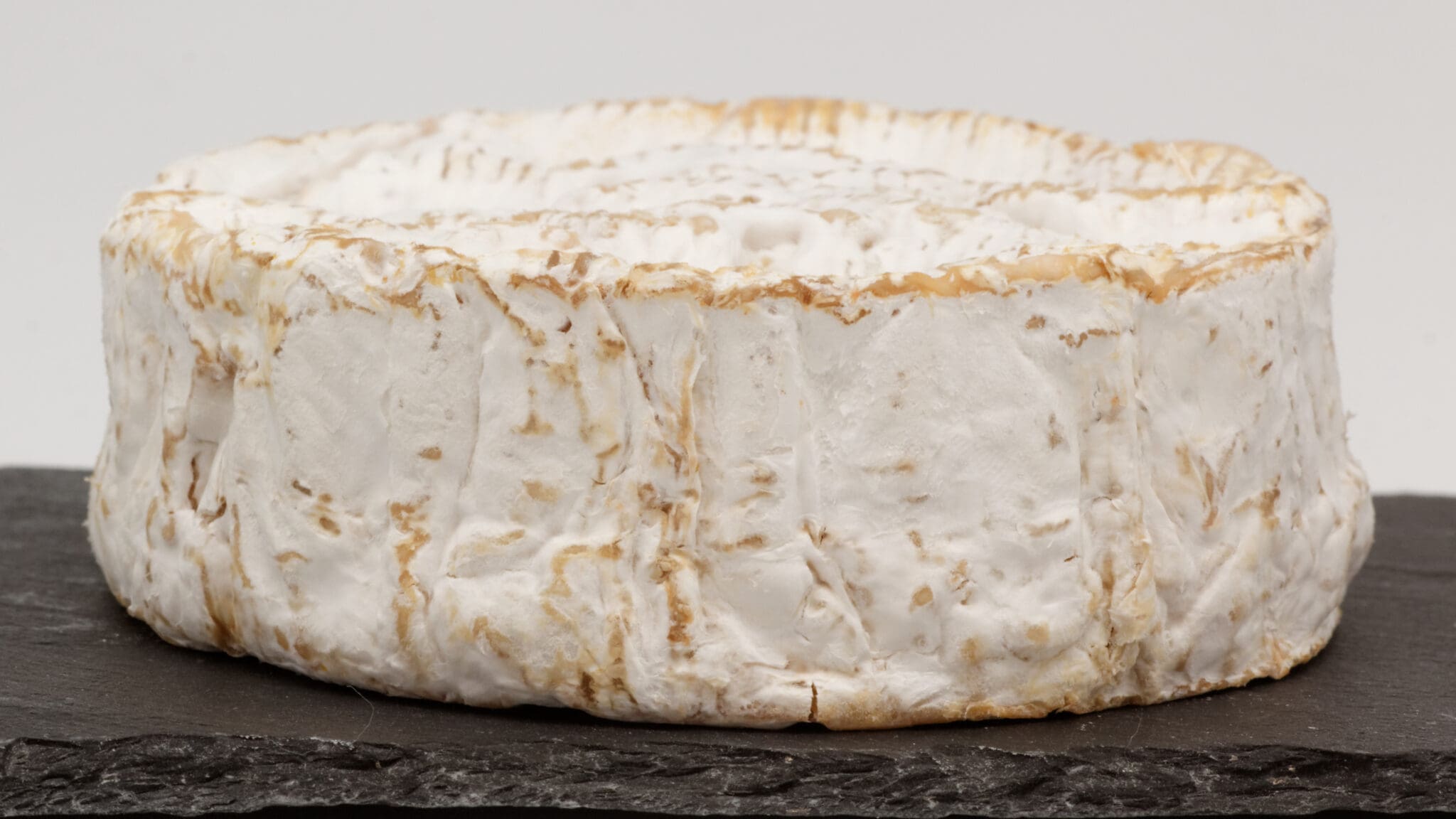 The 15 Best Cheeses on the Face of the Earth - The Quick Report
