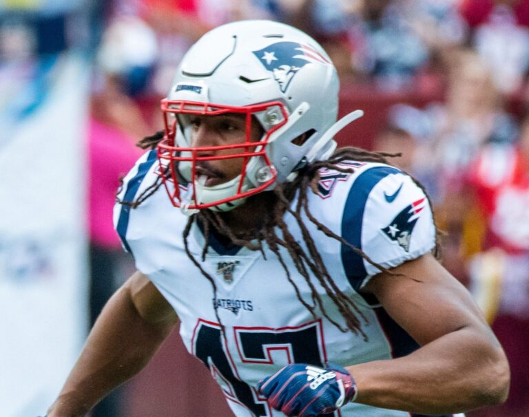 10 NFL Fullbacks Who Prove the Position Still Matters - The Quick Report